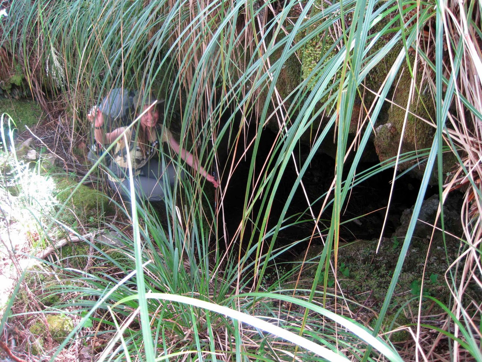 Carolyn in Aotearoa: Heaphy Track, Day Two: Perry Saddle Hut to Saxon ...