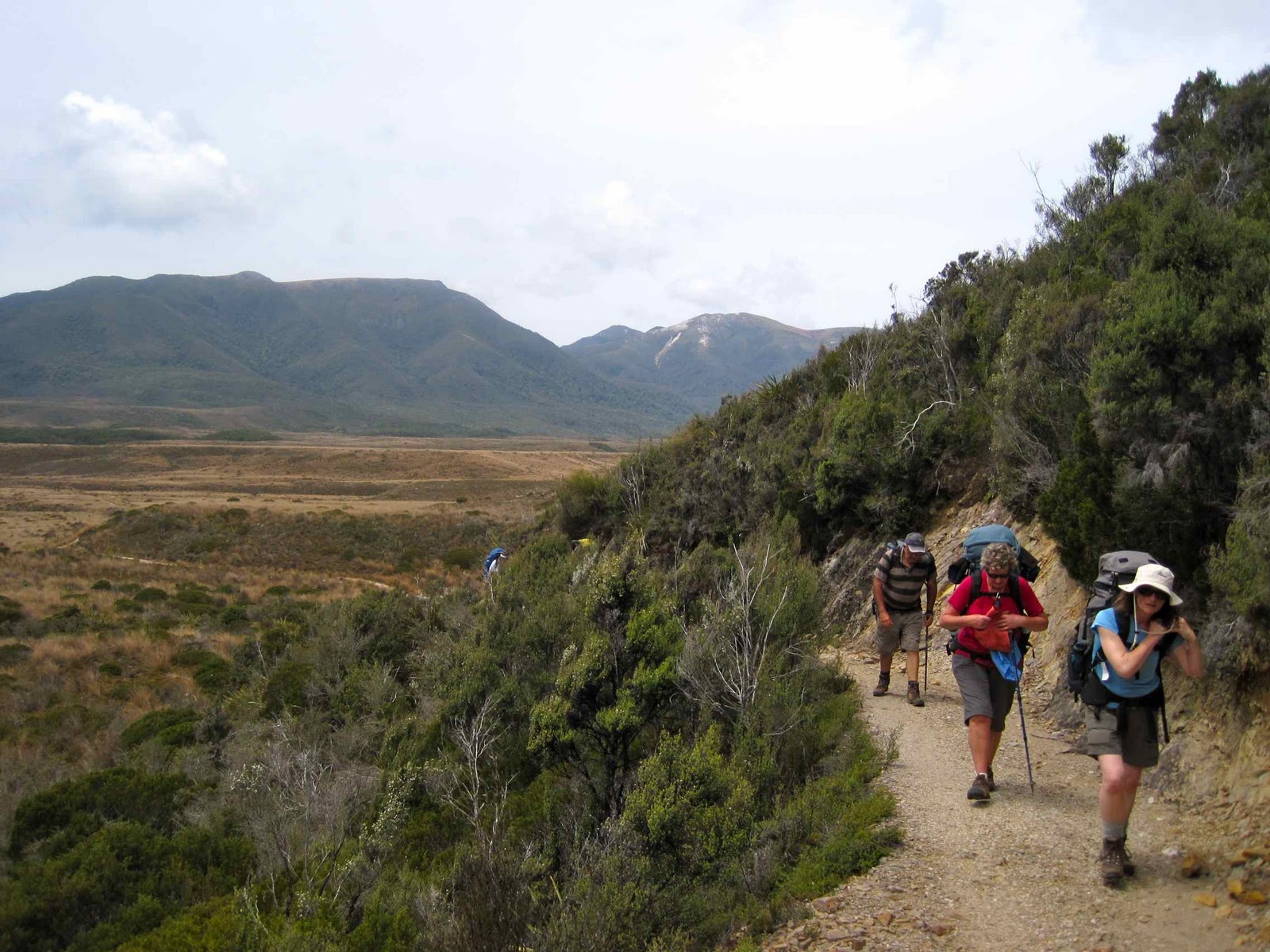 Carolyn in Aotearoa: Heaphy Track, Day Two: Perry Saddle Hut to Saxon ...