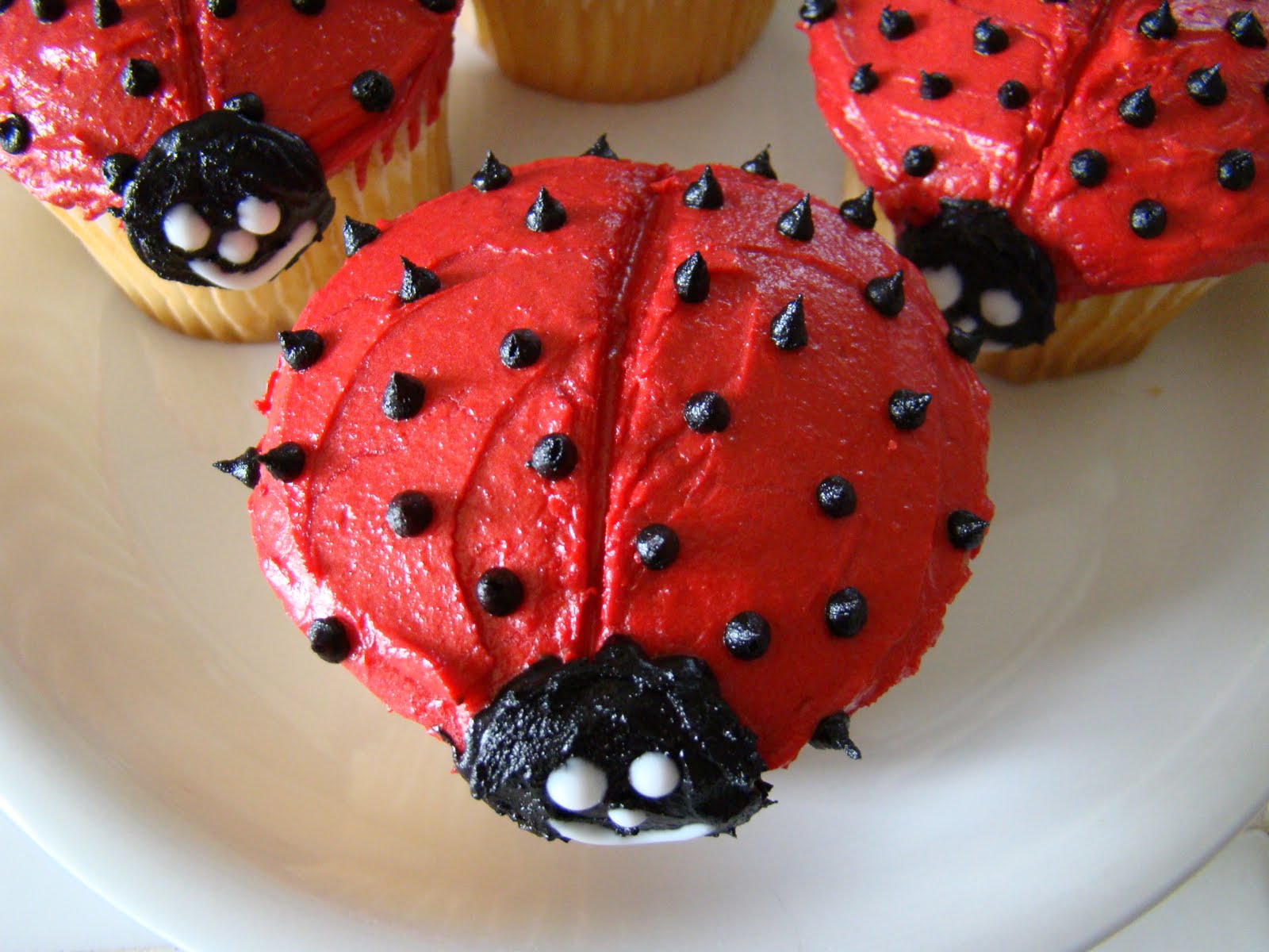 Heather's Boutique Cakes: Ladybug Cupcakes