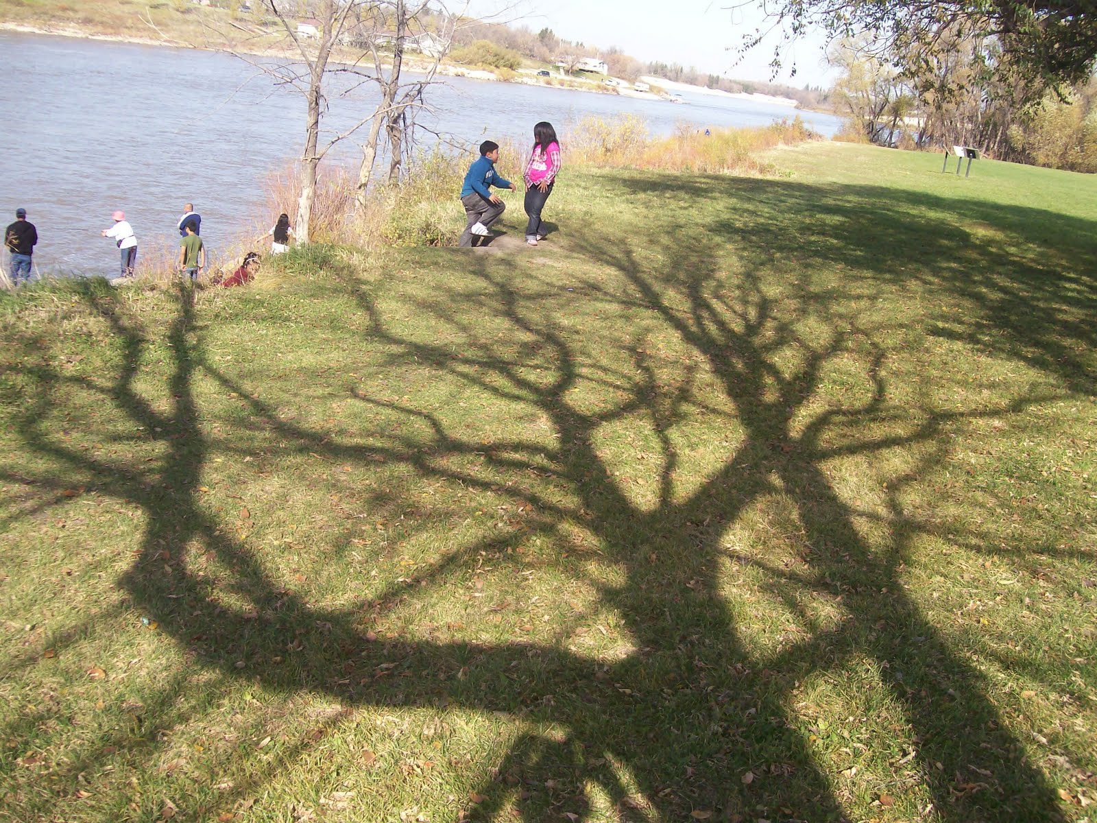 Shadow Land: Playing in the Shadow Tree