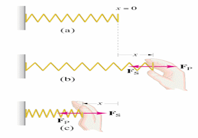 Physics -061&062: Hooke's Law