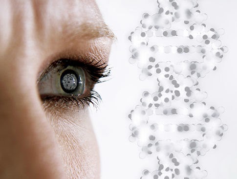 Descargando la Memoria/Unloading the Memory: Autismo y sindrome de ...