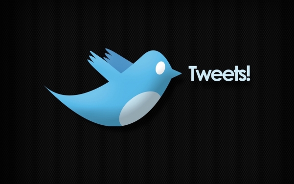 Descargando la Memoria/Unloading the Memory: Locos por Twitter! / Crazy ...