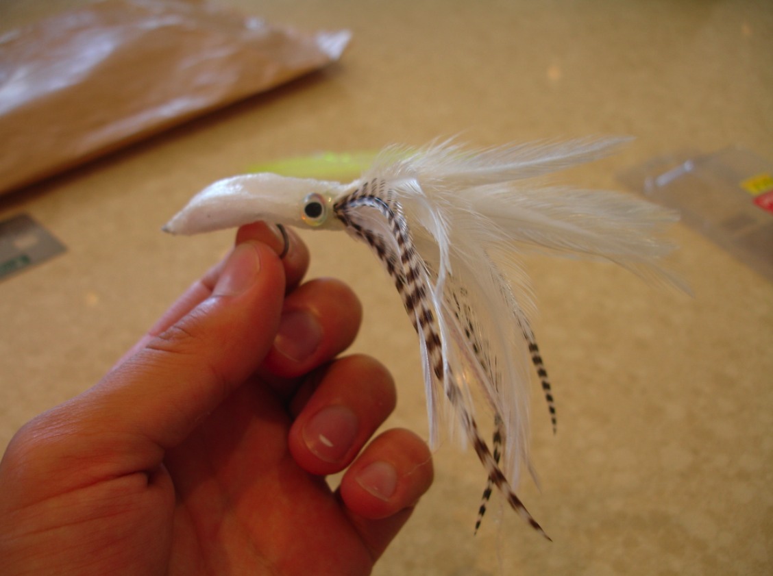 Squid patterns - South African Fresh & Saltwater Fly Fishing Community