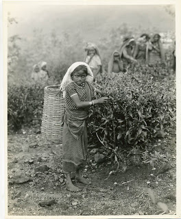 the travelling poet tom wingfield