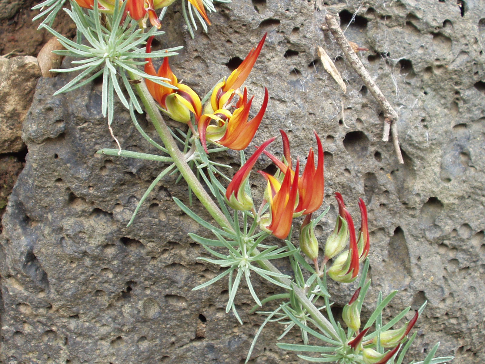 Patra's Other Place: October 2010