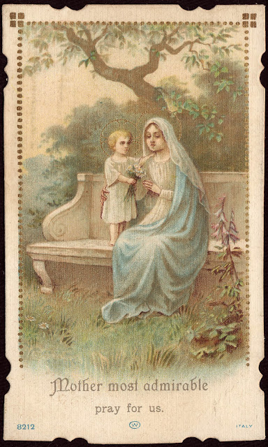 Mary's Meadow: May 2011