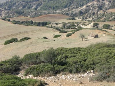 POMARICO HD: MEDITERRANEAN SCRUB