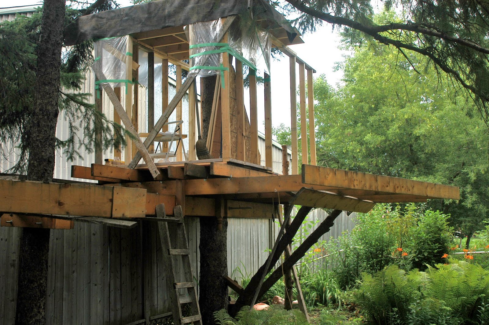 Rudi and Alexander's Tavistock Treehouse: Wall Framing, Second Floor Joists