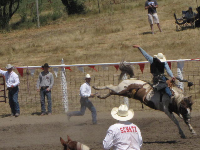 Loves Ranchlife and More: Home on the Range Rodeo Matched Invitational ...