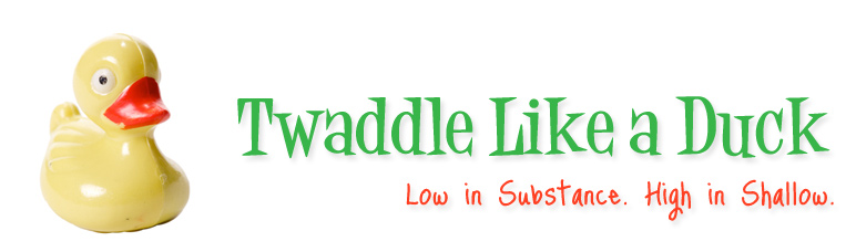 Twaddle Like A Duck: Middle Age: The Garage Band Version