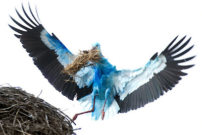 The Blob: Apr 24, 2010