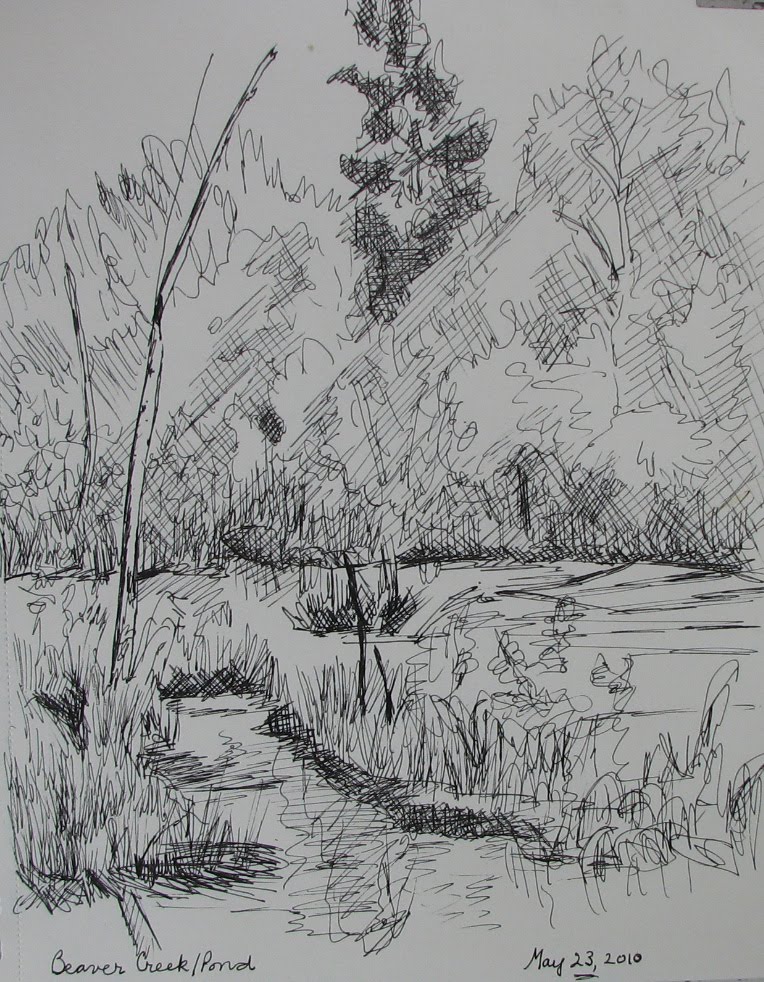 Frabjous Art Musings: Beaver Creek or Pond, Ink Sketch, 12 x 9