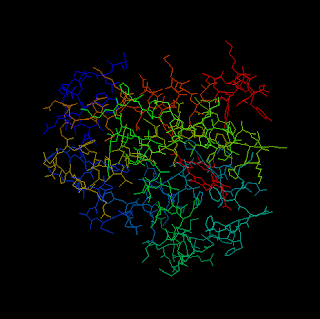 Phys3170 - 2009: Myoglobin structure