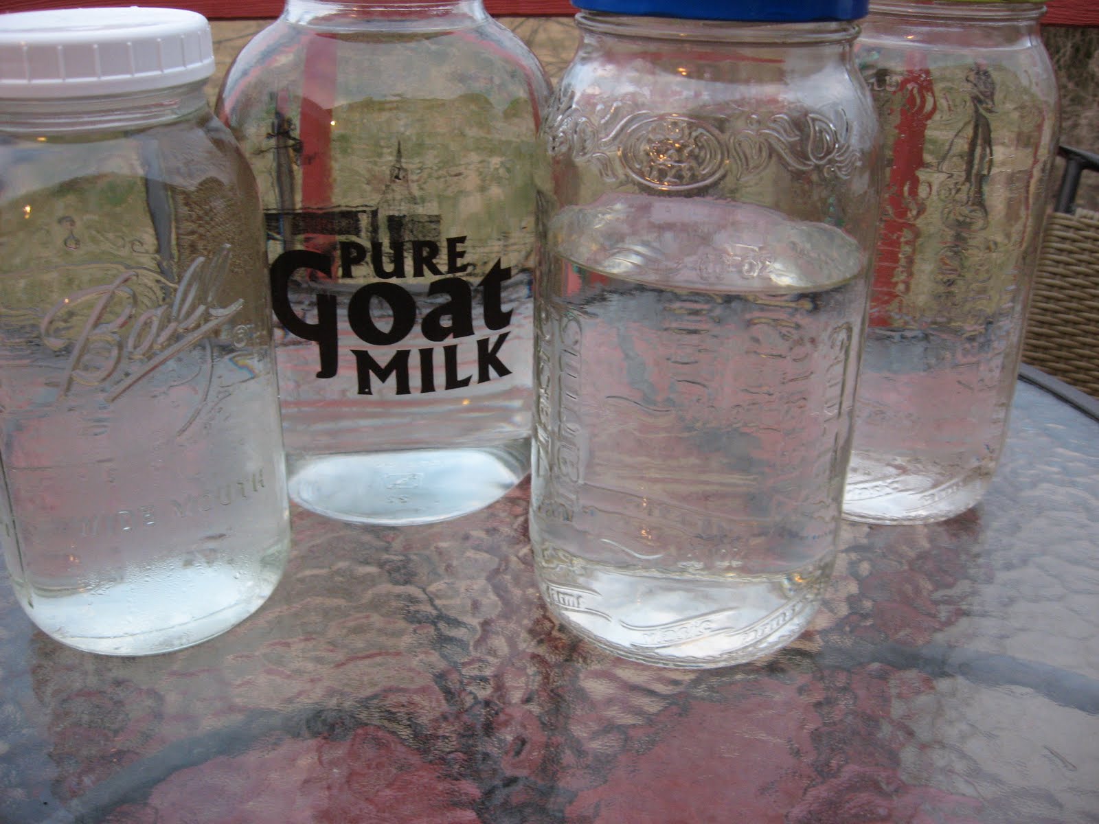 Foothills of the Great Smoky Mountains: Sugar Trees