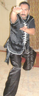 Choy Gar Kuen Chile Kung Fu Tradicional: AGRADECIMIENTOS