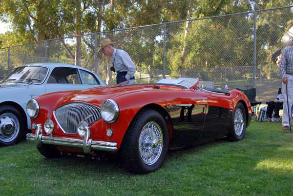 Austin-Healey Car And The History Of It The End Parts ~ Austin Healey ...