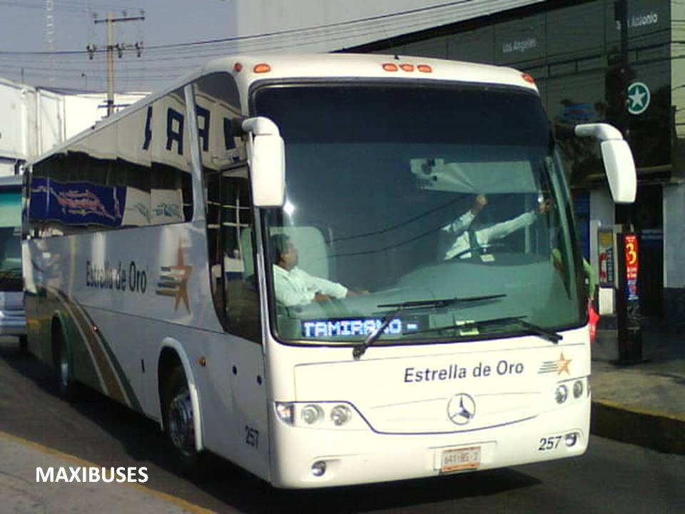 MAXIBUSES: ESTRELLA DE ORO