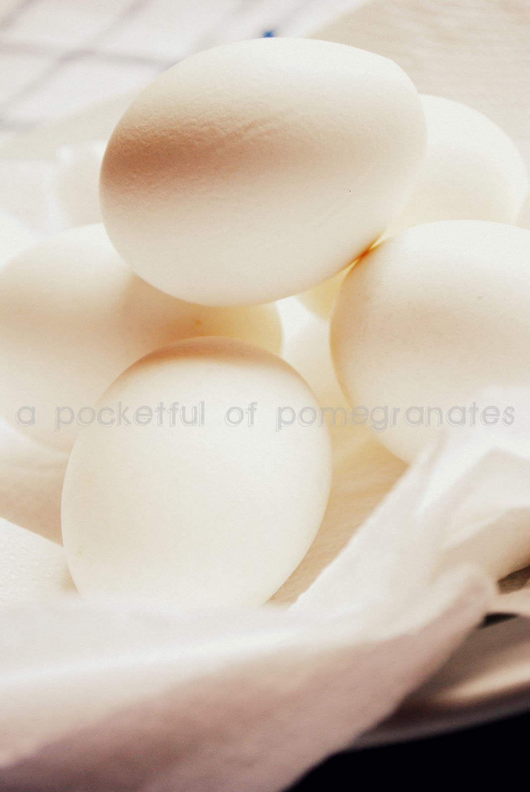 a pocketful of pomegranates: October 2010