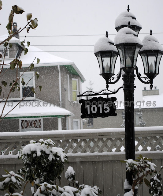 a pocketful of pomegranates: November 2010