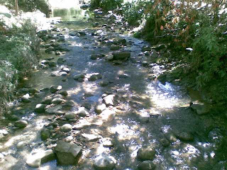 Ríos Dominicanos: Río Yásica
