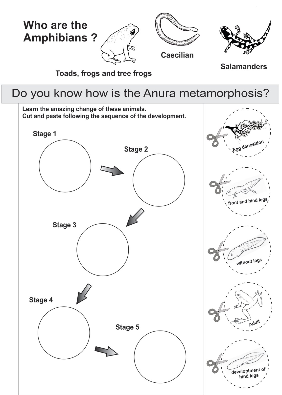 Educating to Preserve