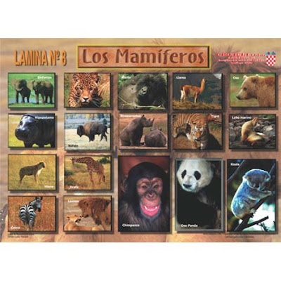 Ciencias Naturales: Los Mamíferos