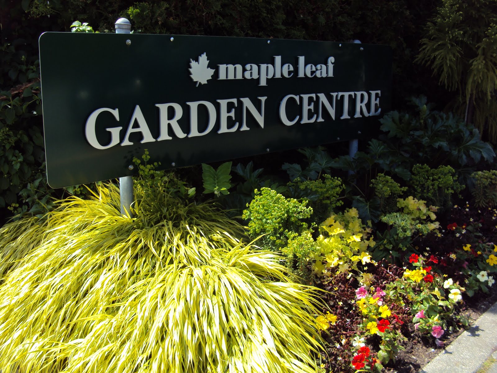 Hey Ray: Maple Leaf Garden Centre: Tis the season to start gardening.