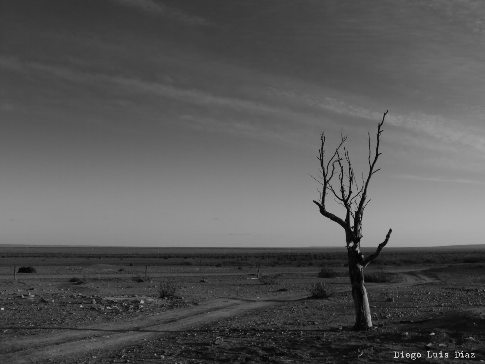 100 ASA + FUNCION BULB: Desolación