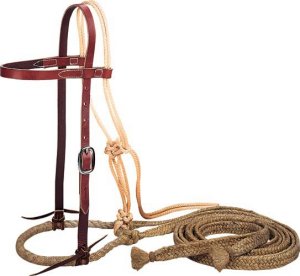 Functional Horsemanship: Horse Training - Hackamores and Bosals