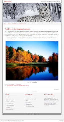 Blogger Buster: 12 Free Photoblog Templates for Blogger