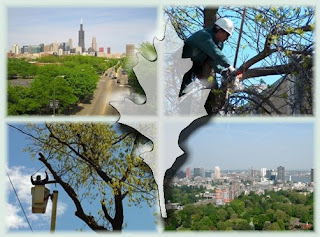 ECONUCO: Conceptos basicos de dasonomía urbana.