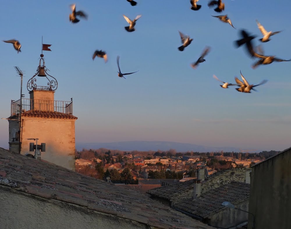 Avignon in Photos: Vedene winter sunset