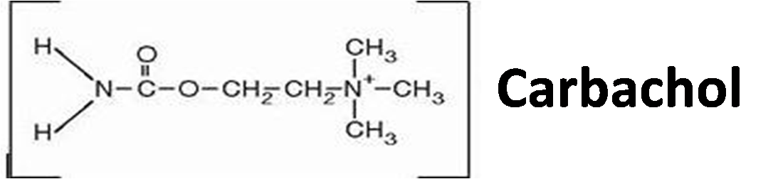 Protect Health.......Protect Life: Cholinergic Drugs