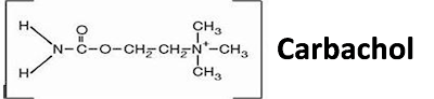 Protect Health.......Protect Life: Cholinergic Drugs