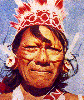 Solo Corrientes: HISTORIA DE LOS INDIOS GUARANIES