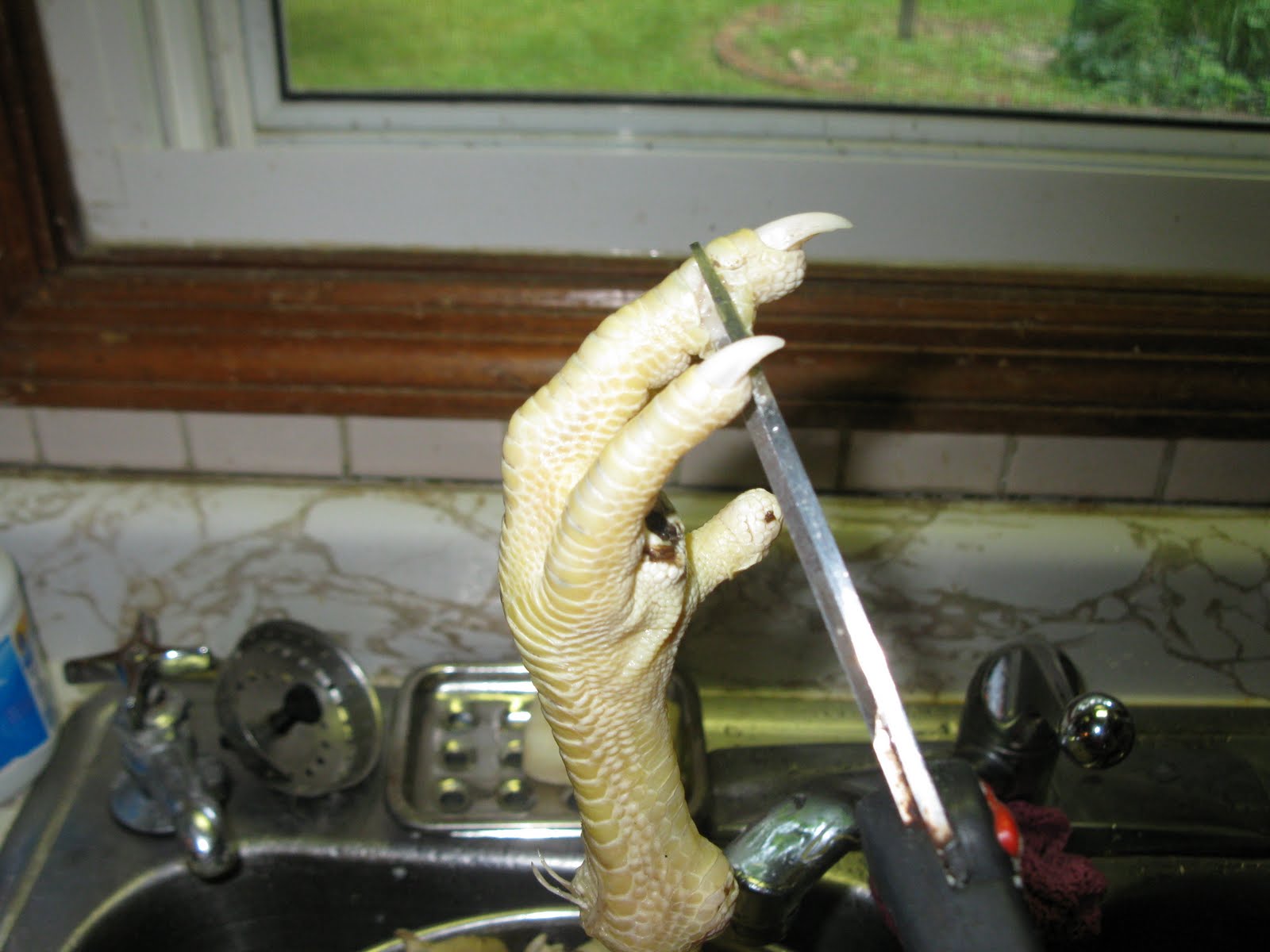 Simply Homemaking: 46 Chicken Feet