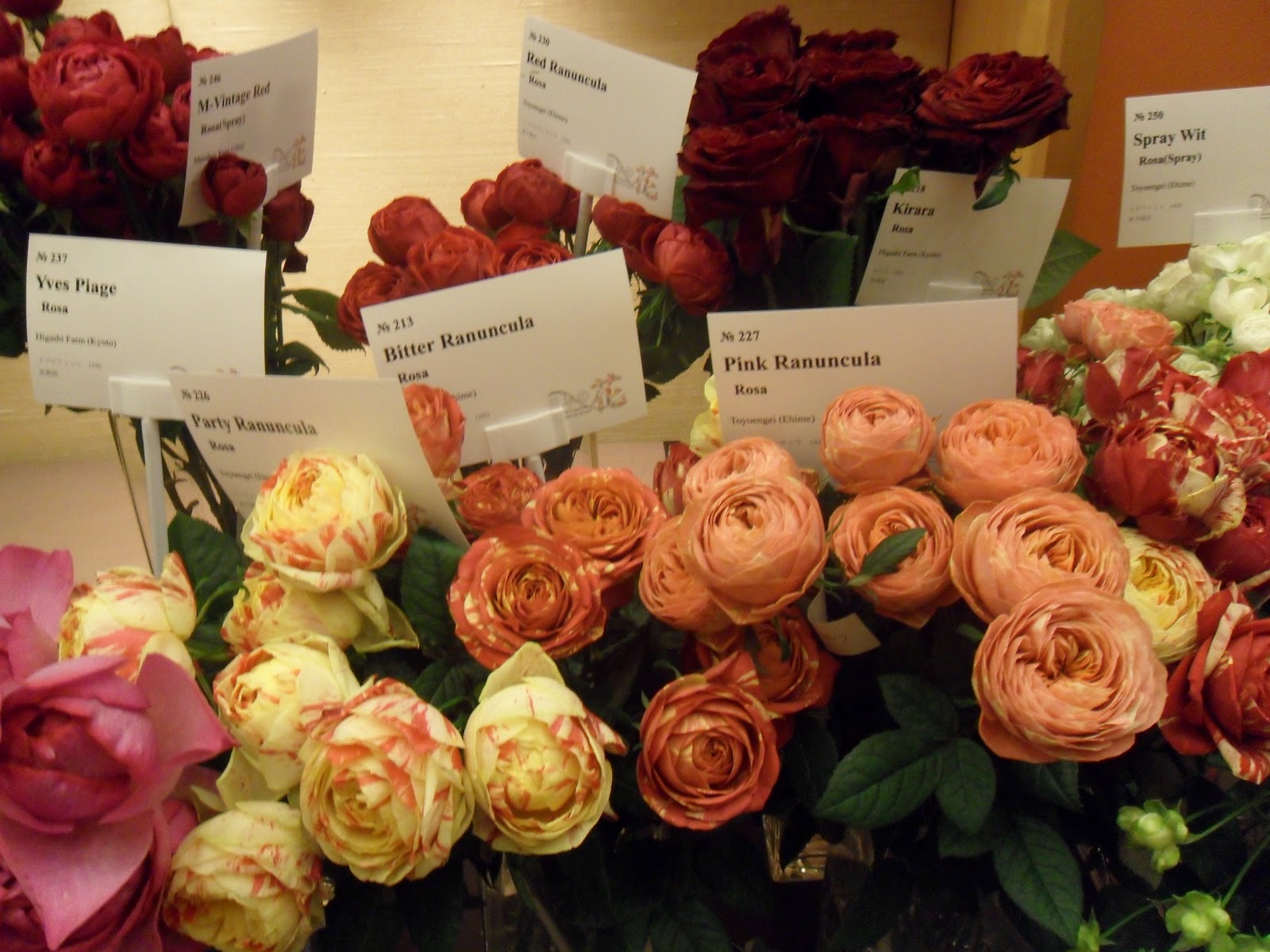 Craftiness NOW: A Japanese Flower Show