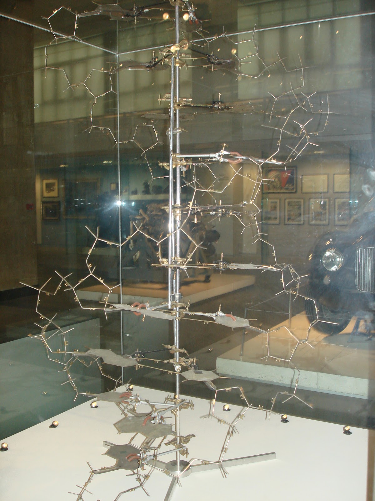 A License to Science: "DNA neither cares nor knows. DNA just is. And we ...