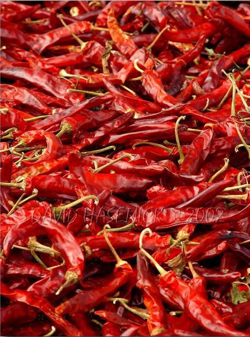 Final Year Project 2: May 2010