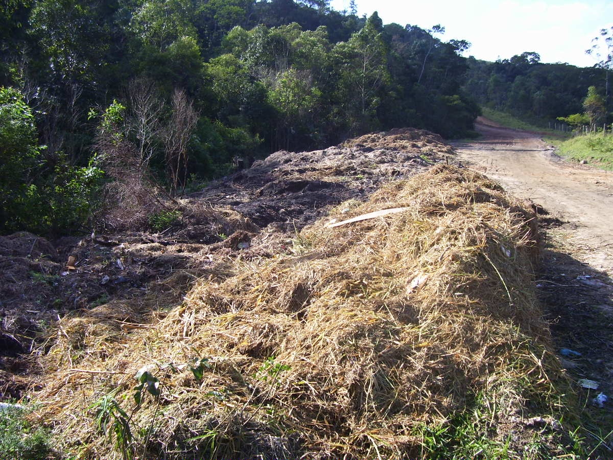 MOVIMENTO PRÓ-MATA SETE CRUZES