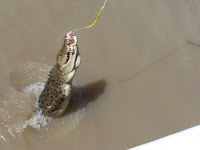 Brock & Adam's Holiday Adventure: Corroboree Park and Humpty Doo