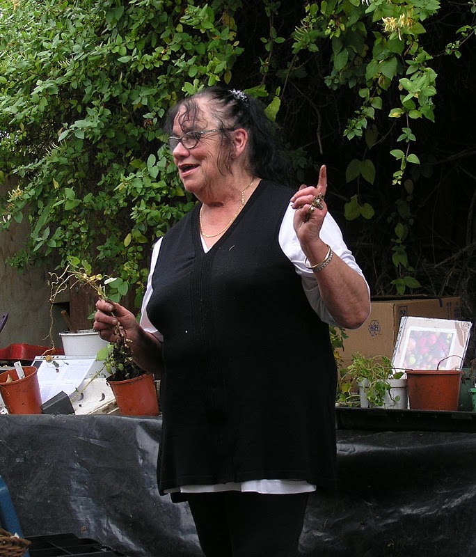 Jan mackenzie wrestling |jan mackenzie wrestling, jan mackenzie wrestling|