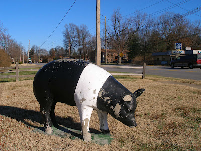 Unusual Kentucky: Joe's One-Antlered Moose