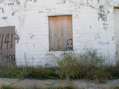 Unusual Kentucky: Ghost with a Bindi?