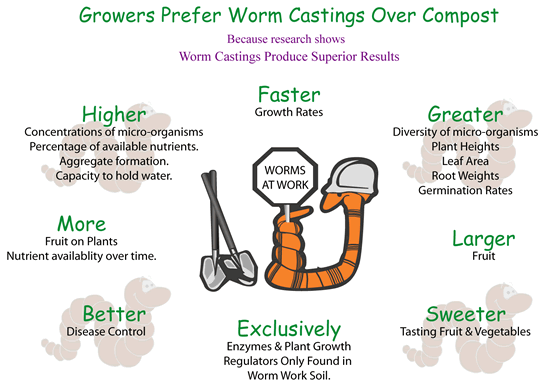 MGS Environmental Blog: Vermicomposting