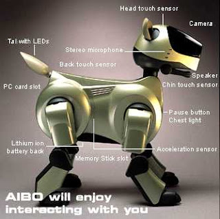 OwN AreA: AIBO