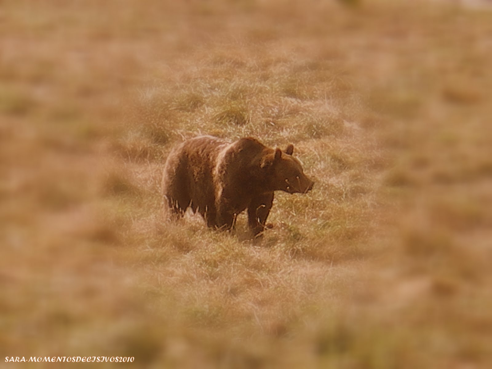 MOMENTOS DECISIVOS: septiembre 2010