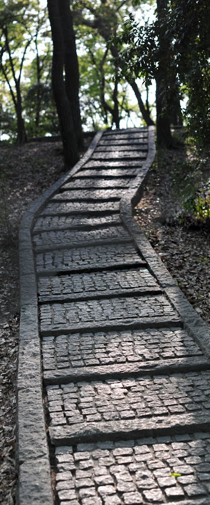 Japanorama: Kofun: Ancient Tombs of Japan