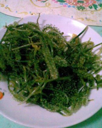 E2=Educational & Entertainment Hub: Exotic Filipino Foods and Preparation